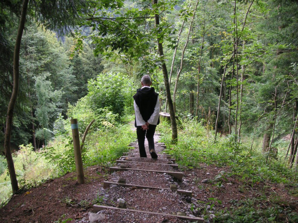 The Gospel of Gratitude According to Brother David Steindl-Rast