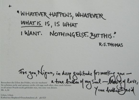 Lessons from a Benedictine Monk, Brother David - Grateful.org