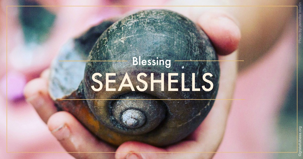 Summer Blessings: Seashells - Grateful.org