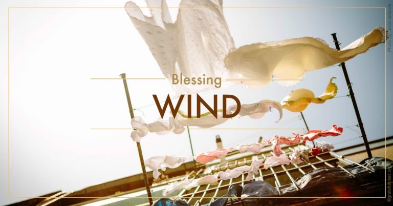 Summer Blessings: Wind - Grateful.org