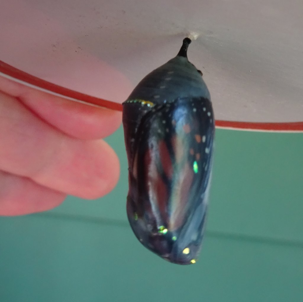 Waiting - Grateful.org