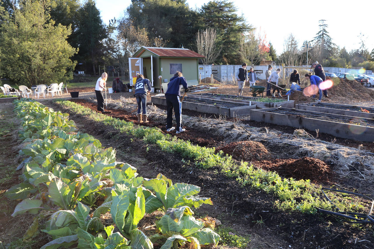 Grateful Changemakers: Ceres Community Project - Grateful.org