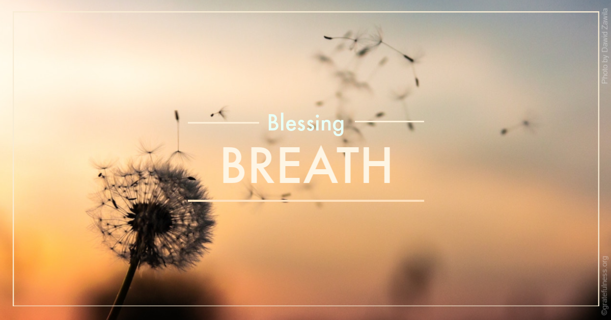 Summer Blessings: Breath - Grateful.org