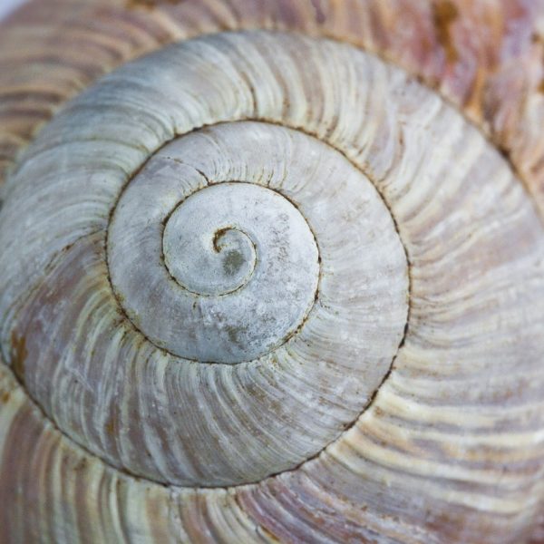 Healing Begins With Gratitude - Grateful.org