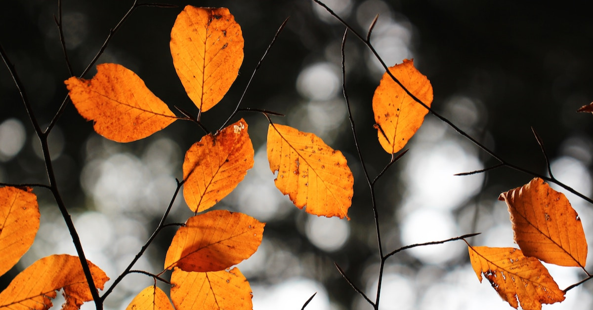 October - Grateful.org