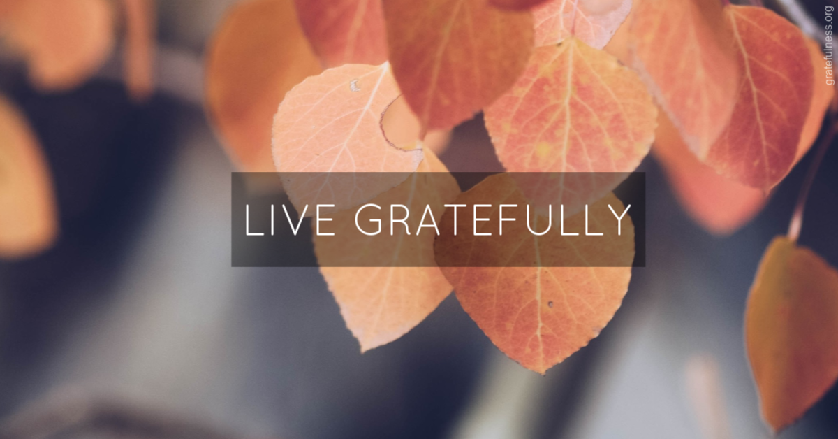 In Thanksgiving for Life: Live Gratefully - Grateful.org