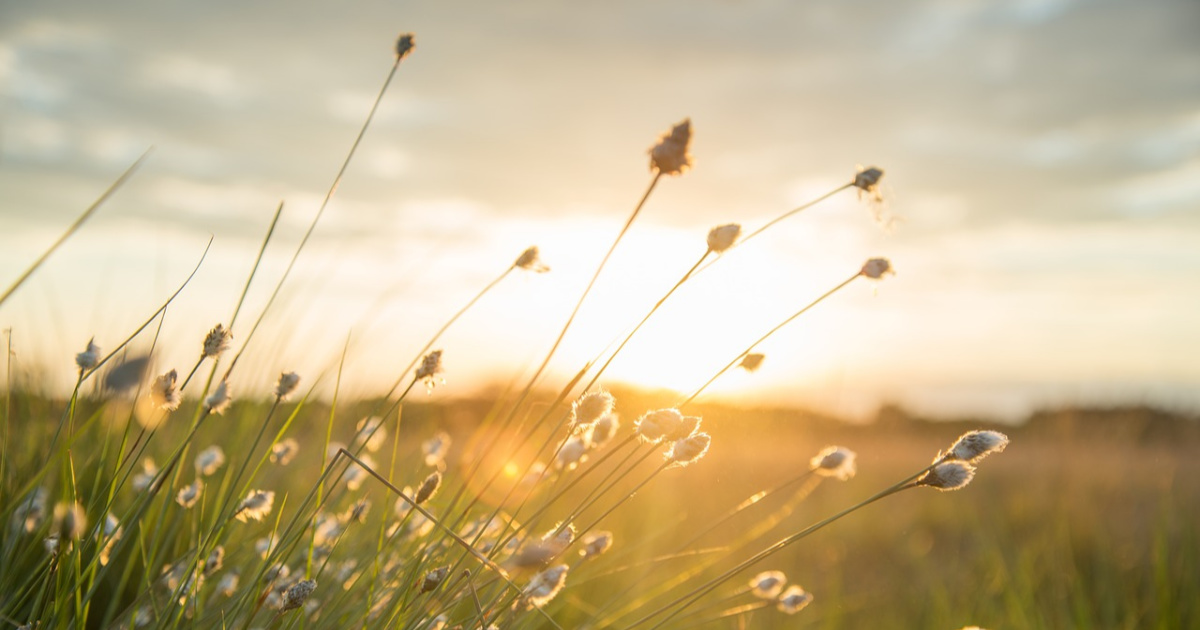 A Normal Day! - Grateful.org