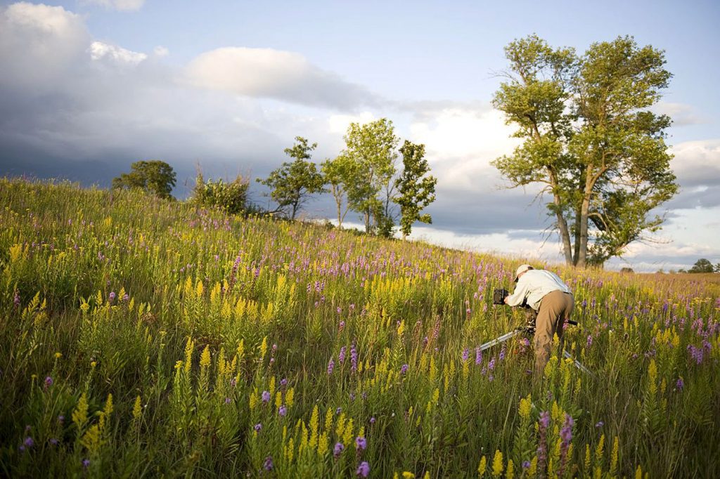 How Nature Heals - Grateful.org