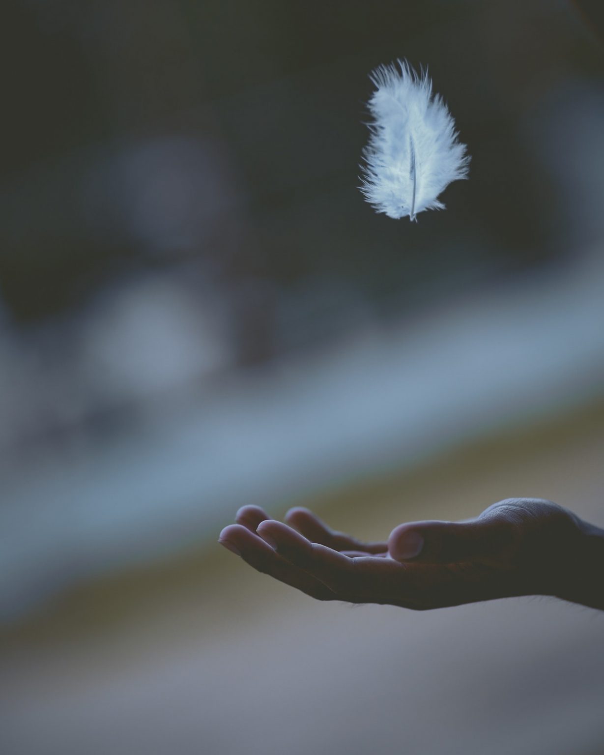 30 Daily Gratitude Practices for Living a Grateful Life