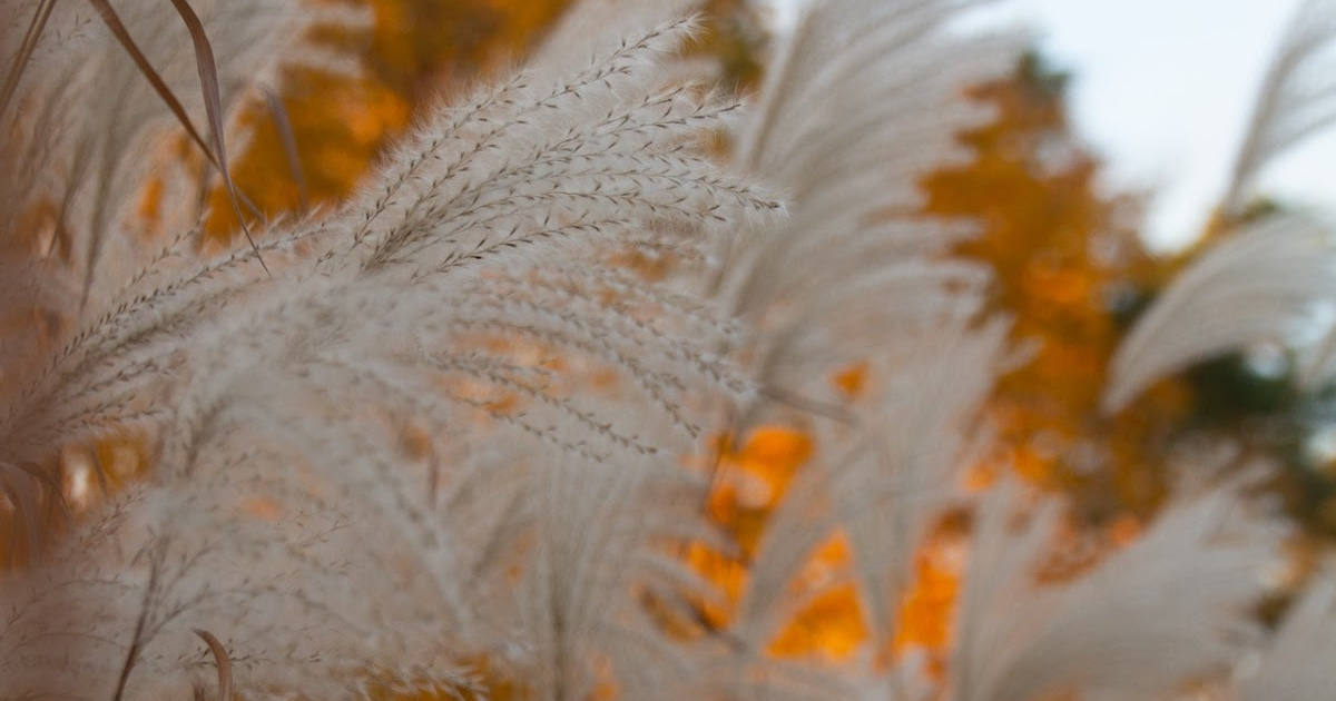 Wake Up to Perspective: Become Present - Grateful.org