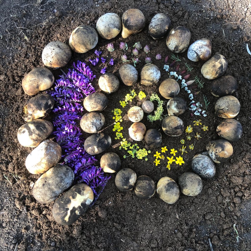 Earth Altars - Origin Story - Grateful.org