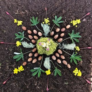 Earth Altars - Origin Story - Grateful.org