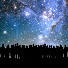 Stop.Look.Go - Grateful.org