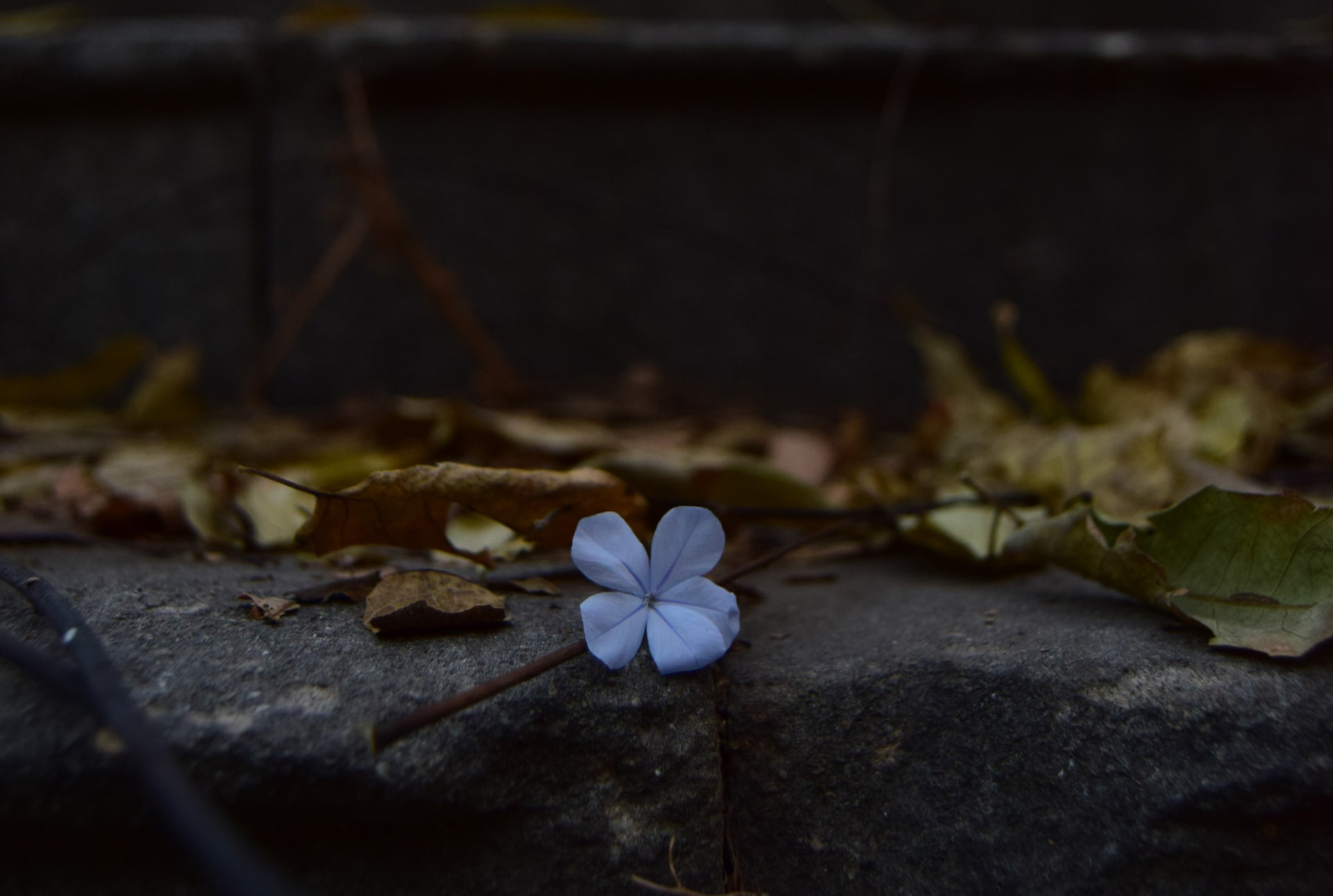 Send Love, It Matters - Grateful.org