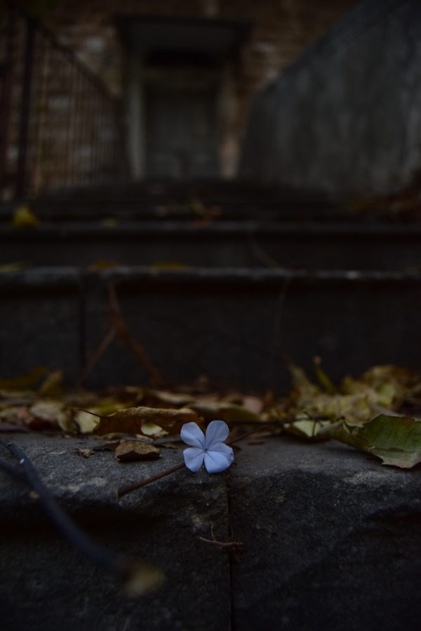 Send Love, It Matters - Grateful.org