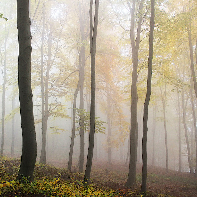 Poetry Collection: Savoring Slowing Down