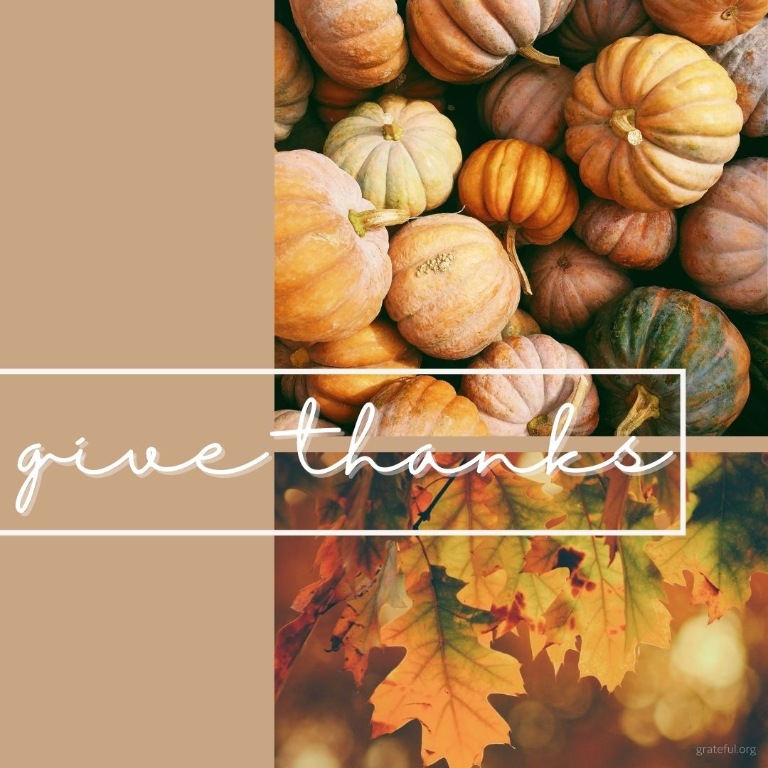 Blessings and Practices for a Grateful Thanksgiving
