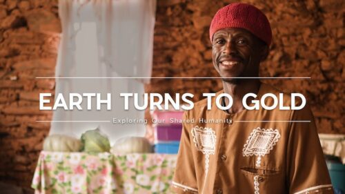 Stop.Look.Go - Grateful.org