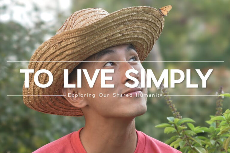 Stop.Look.Go - Grateful.org