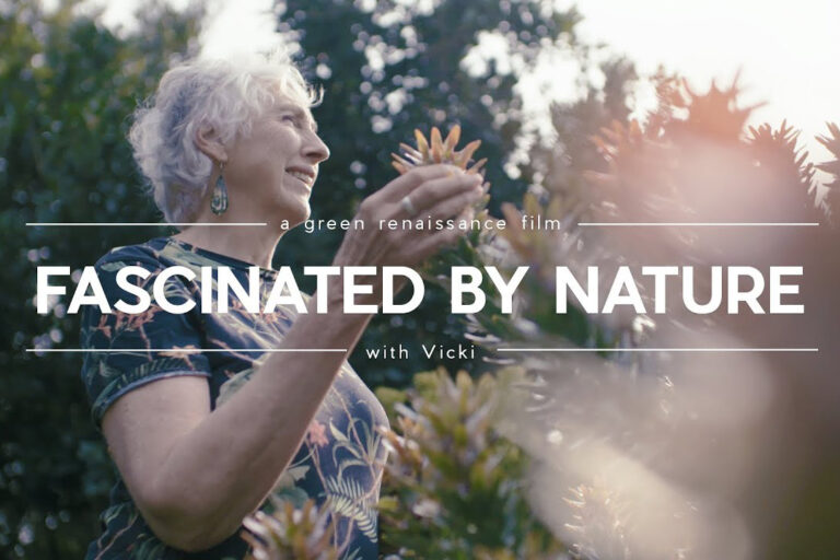 Stop.Look.Go - Grateful.org