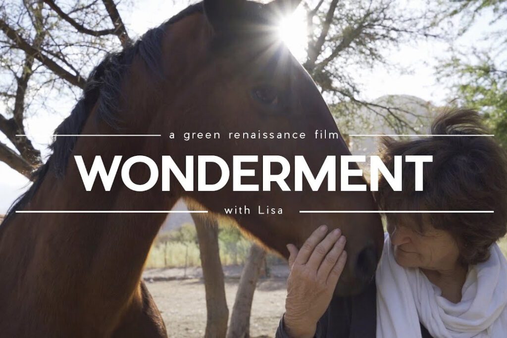 Resources For Grief And Grieving Grateful Living