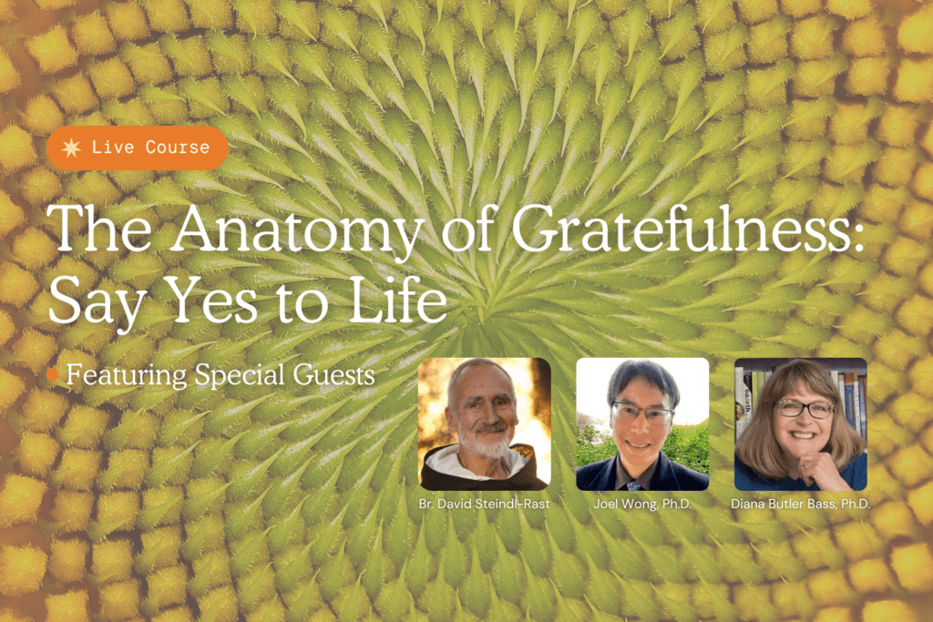 Welcome to Grateful Living